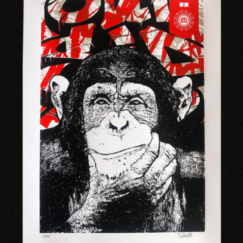 Studio Daboo - Contemporary Urban Art